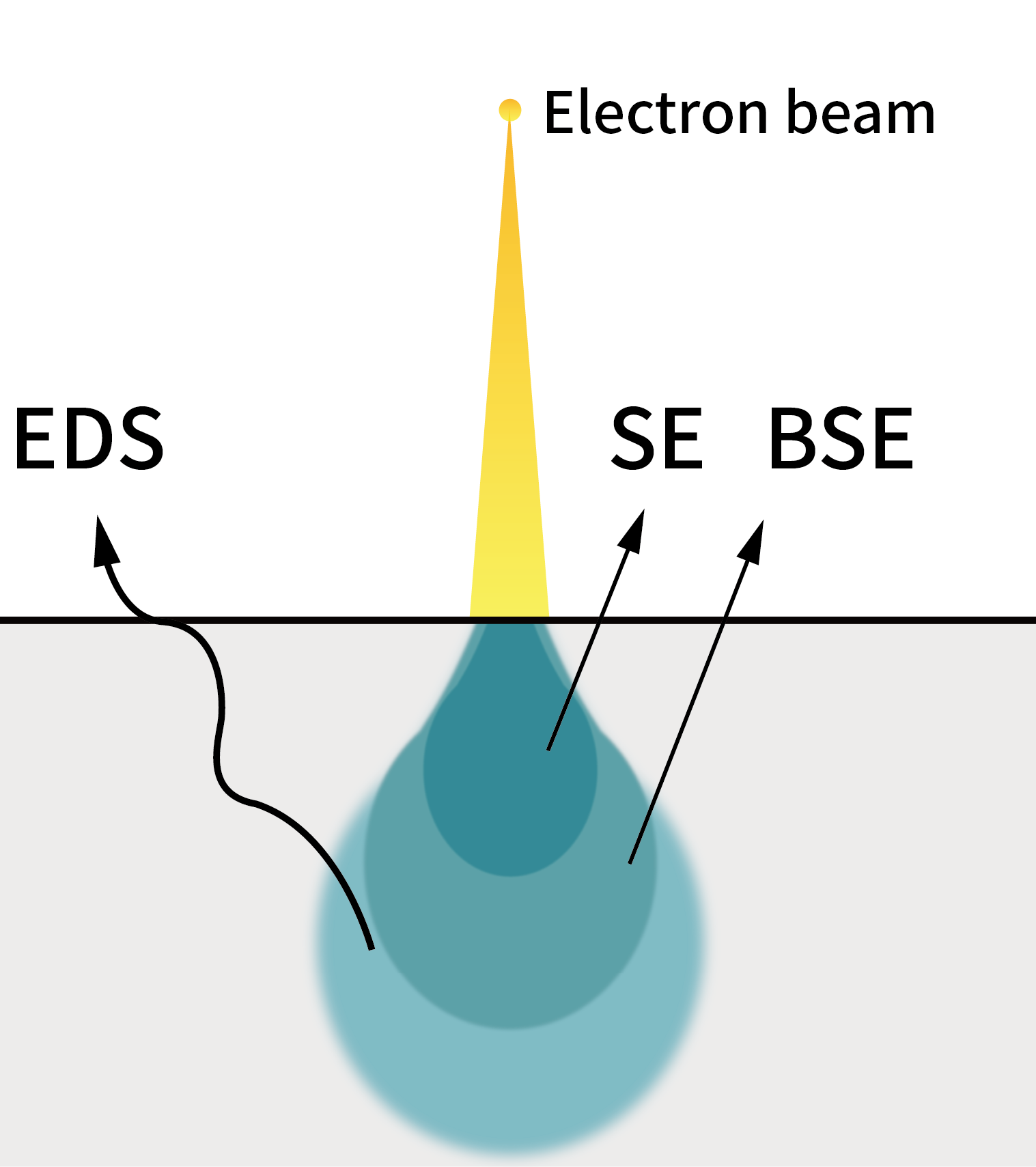 SEM與EDS技術整合：為產業提高分析效率 - 英商飛奈儀器